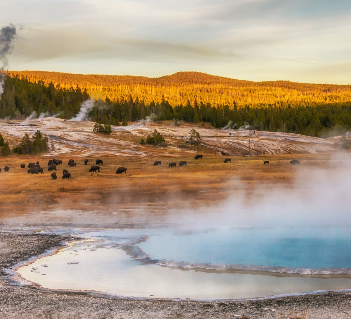 Baseload Power USA - Baseload Capital - Investing in geothermal energy ...